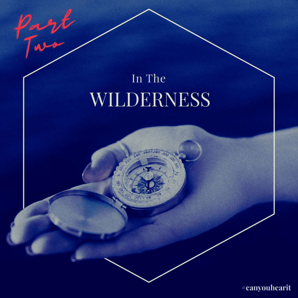 In the Wilderness Bible Study | 3 Powerful Teachings